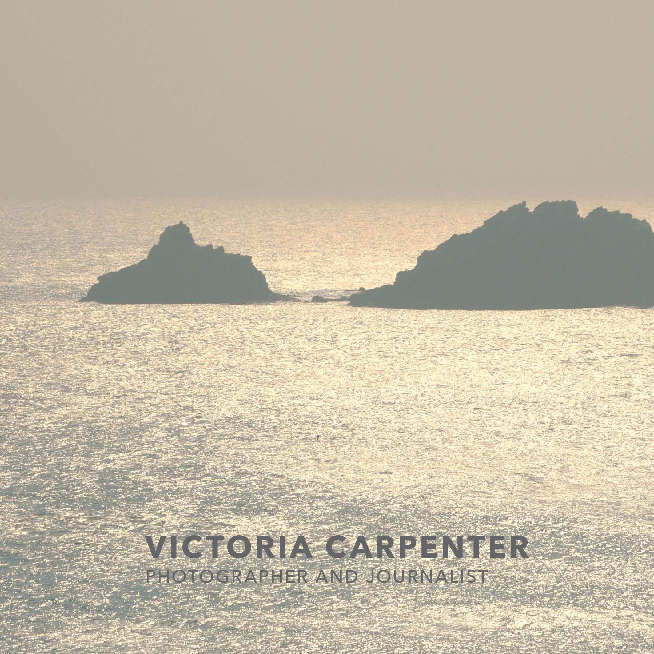 About – Victoria Carpenter